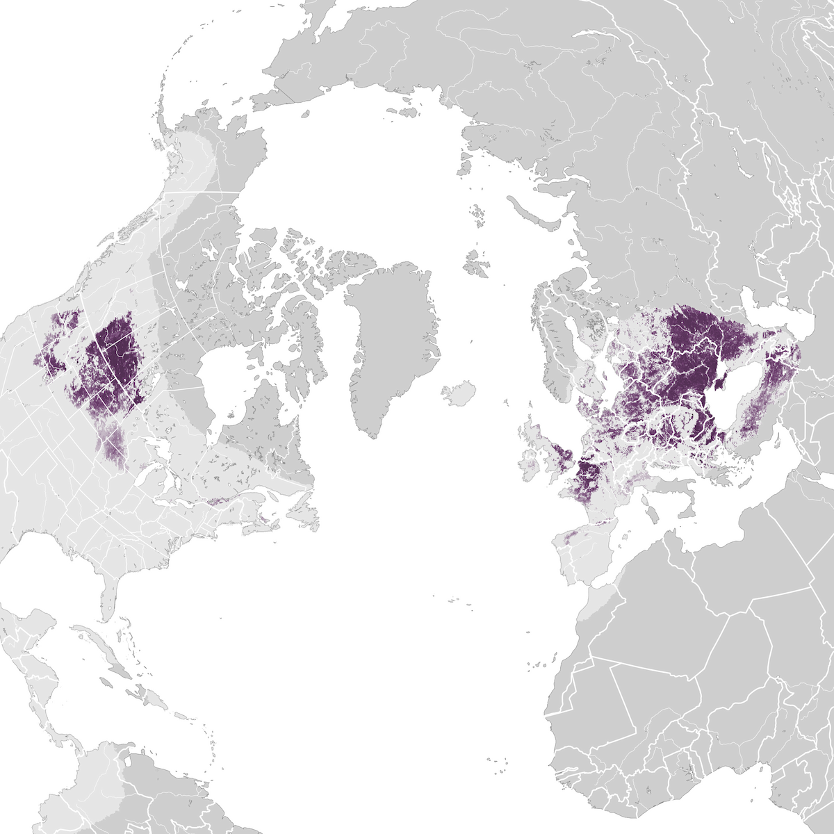 Gray Partridge - Abundance map - eBird Status and Trends
