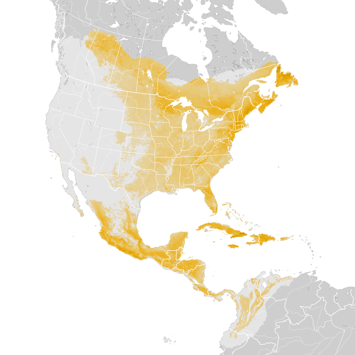 Black-and-white Warbler - Abundance map: Post-breeding migration ...