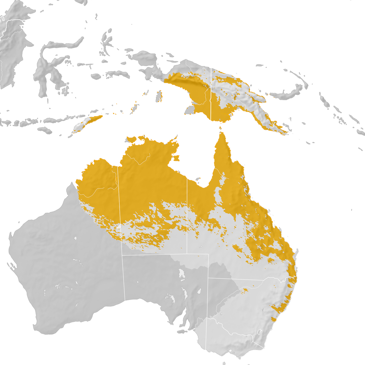 Channel-billed Cuckoo - Range map: Post-breeding migration - eBird ...