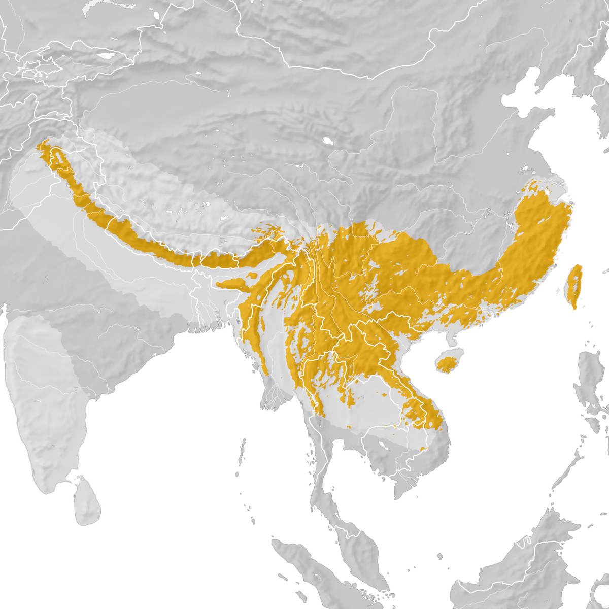 Black Bulbul - Range map: Post-breeding migration - eBird Status and Trends