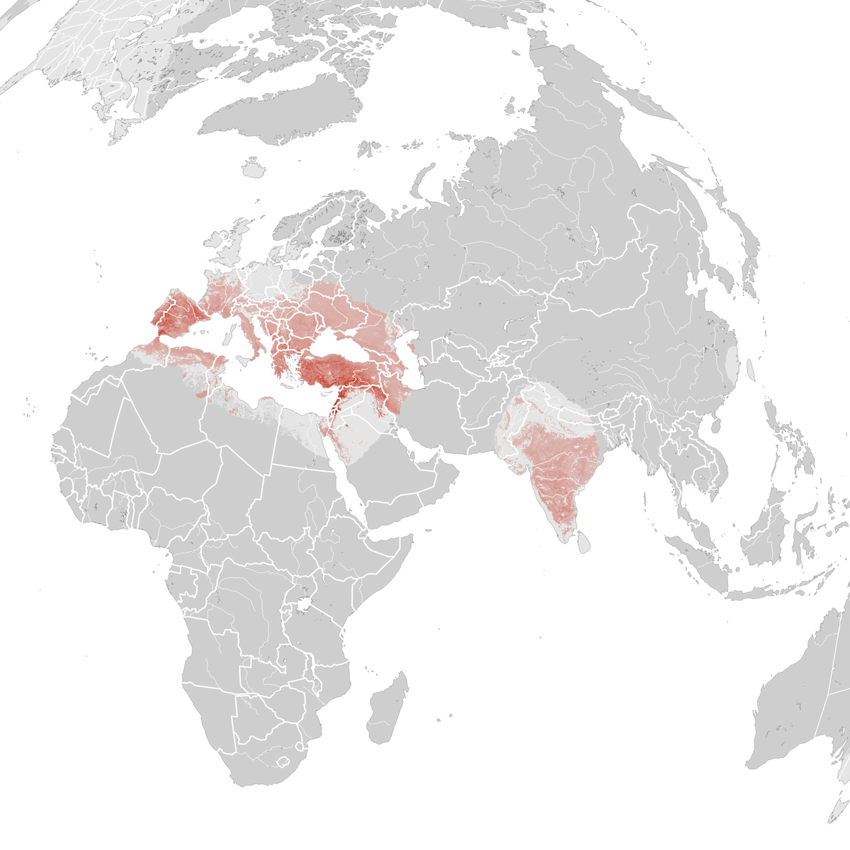 Short-toed Snake-Eagle - Abundance map: Breeding - eBird Status and Trends