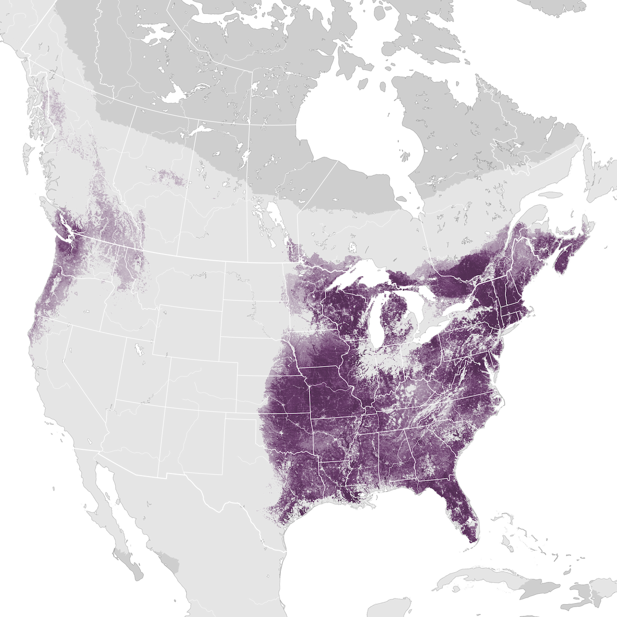 Barred Owl - Abundance map - eBird Status and Trends