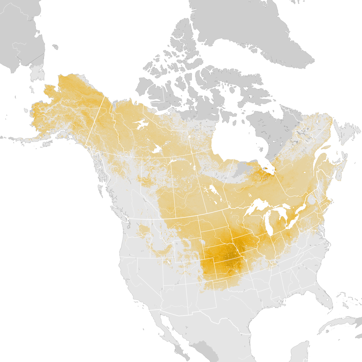 American Tree Sparrow - Abundance map: Post-breeding migration - eBird ...