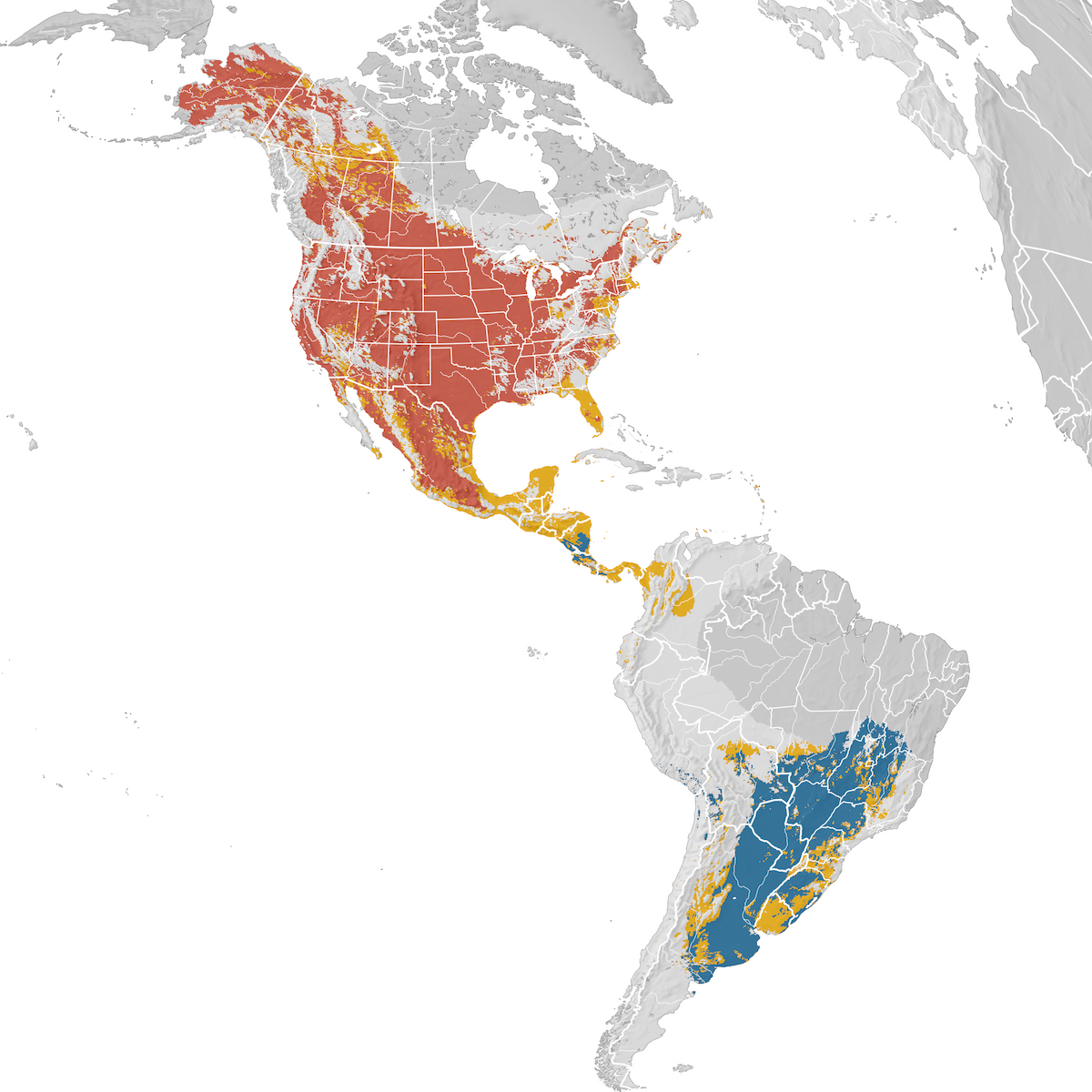 Cliff Swallow - Range map - eBird Status and Trends