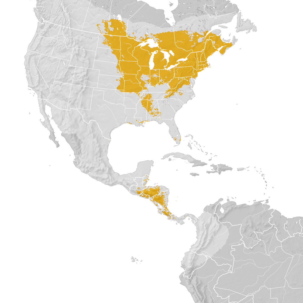Black-billed Cuckoo - Range map: Post-breeding migration - eBird Status ...