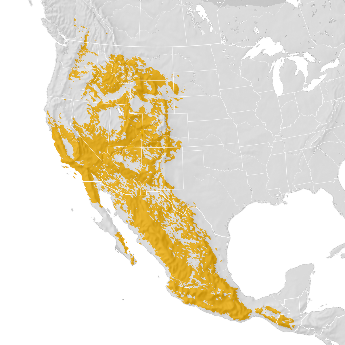 White-throated Swift - Range map: Pre-breeding migration - eBird Status ...
