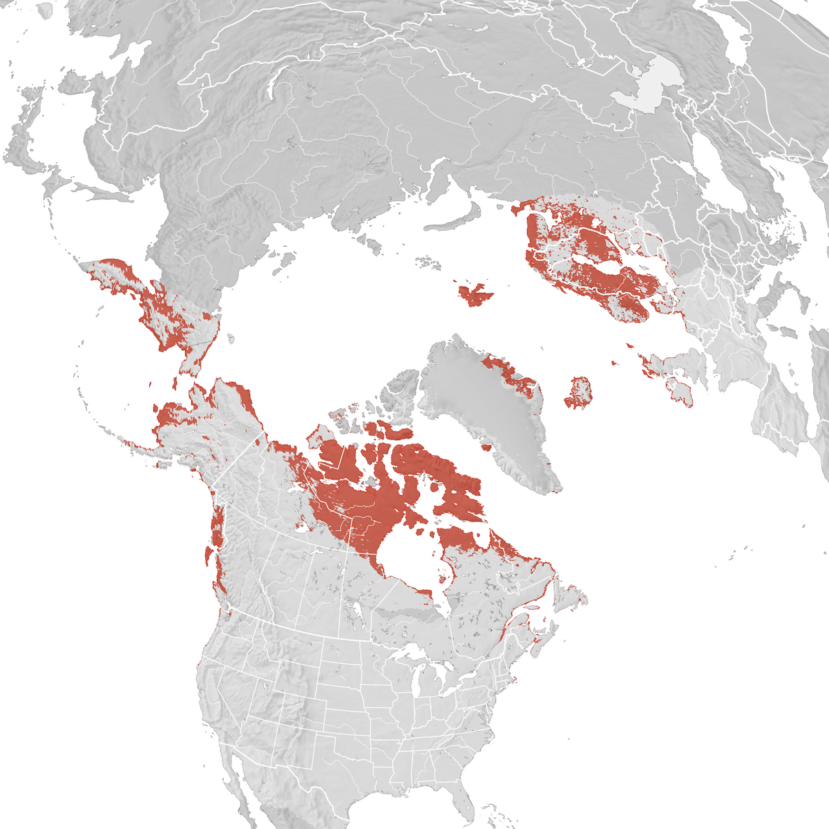 Red-throated Loon - Range map: Breeding - eBird Status and Trends