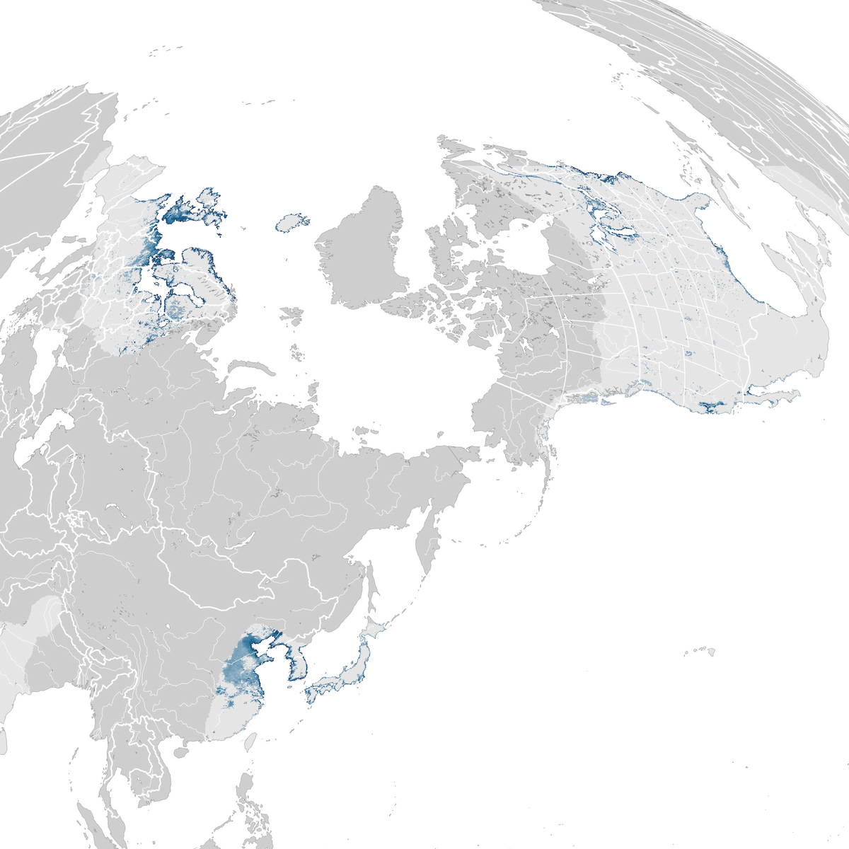 Herring Gull - Abundance map: Non-breeding - eBird Status and Trends