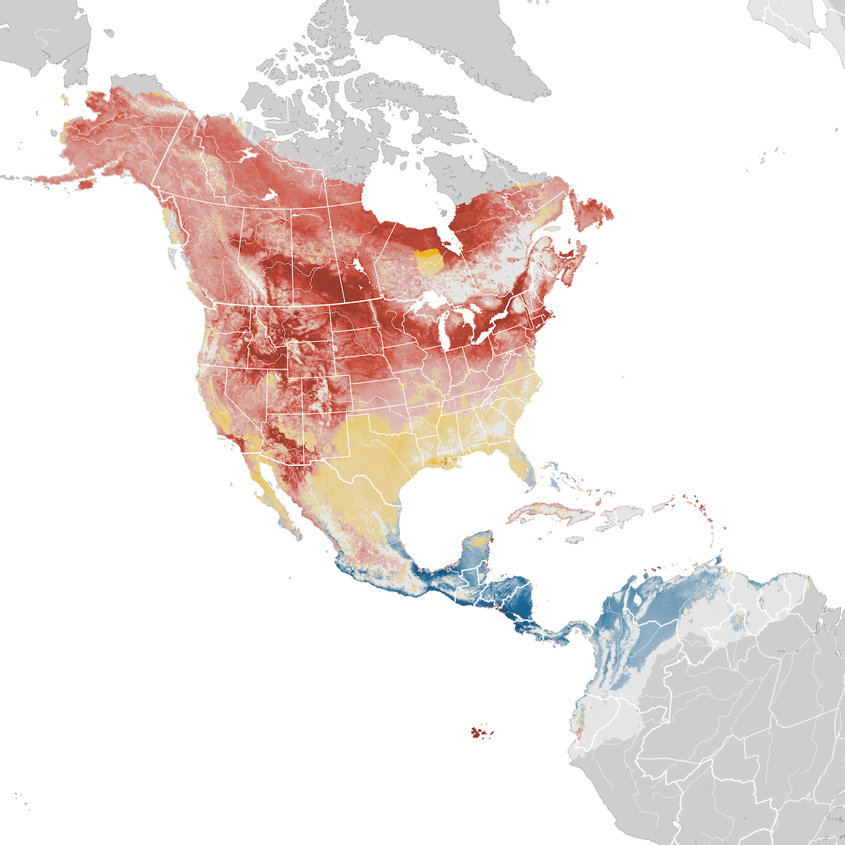 Yellow Warbler - Abundance map - eBird Status and Trends