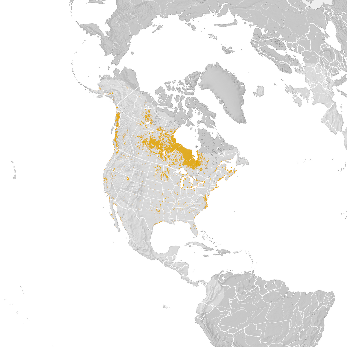 Bonaparte's Gull - Range map: Post-breeding migration - eBird Status ...