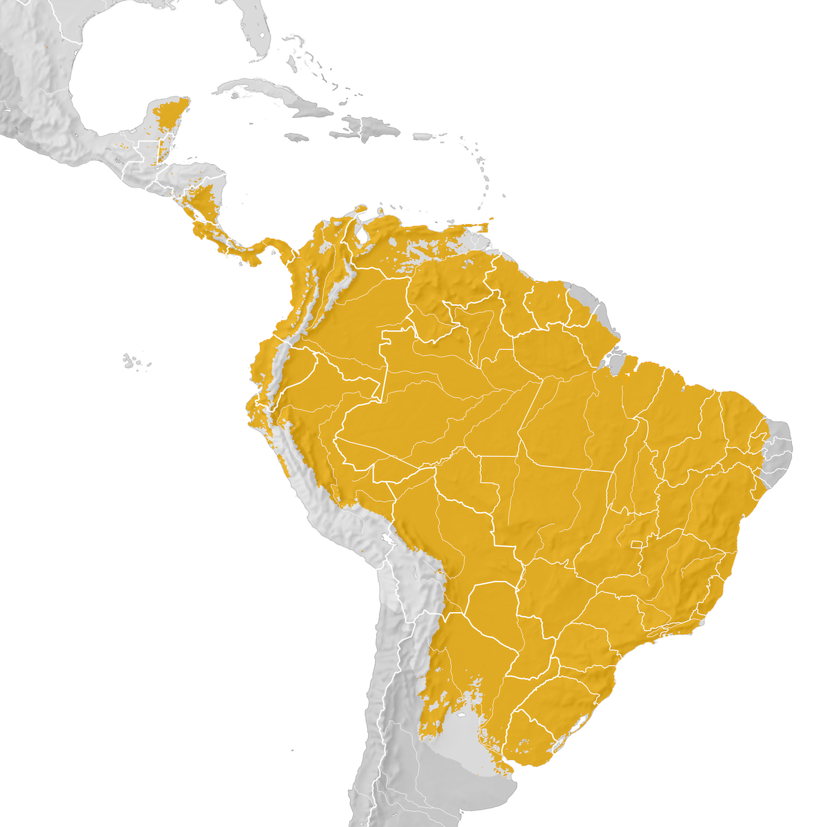 Streaked Flycatcher - Range map: Pre-breeding migration - eBird Status ...