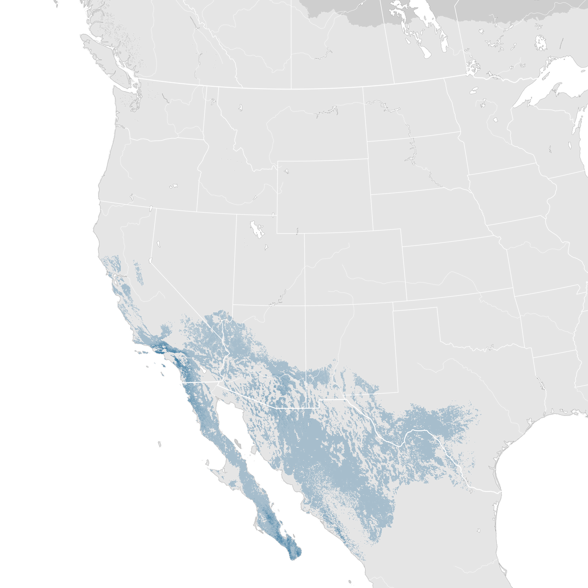 Common Poorwill - Abundance map: Non-breeding - eBird Status and Trends