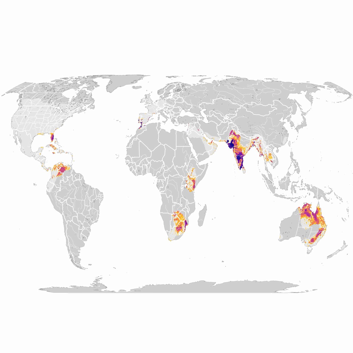 Glossy Ibis - Abundance animation - eBird Status and Trends