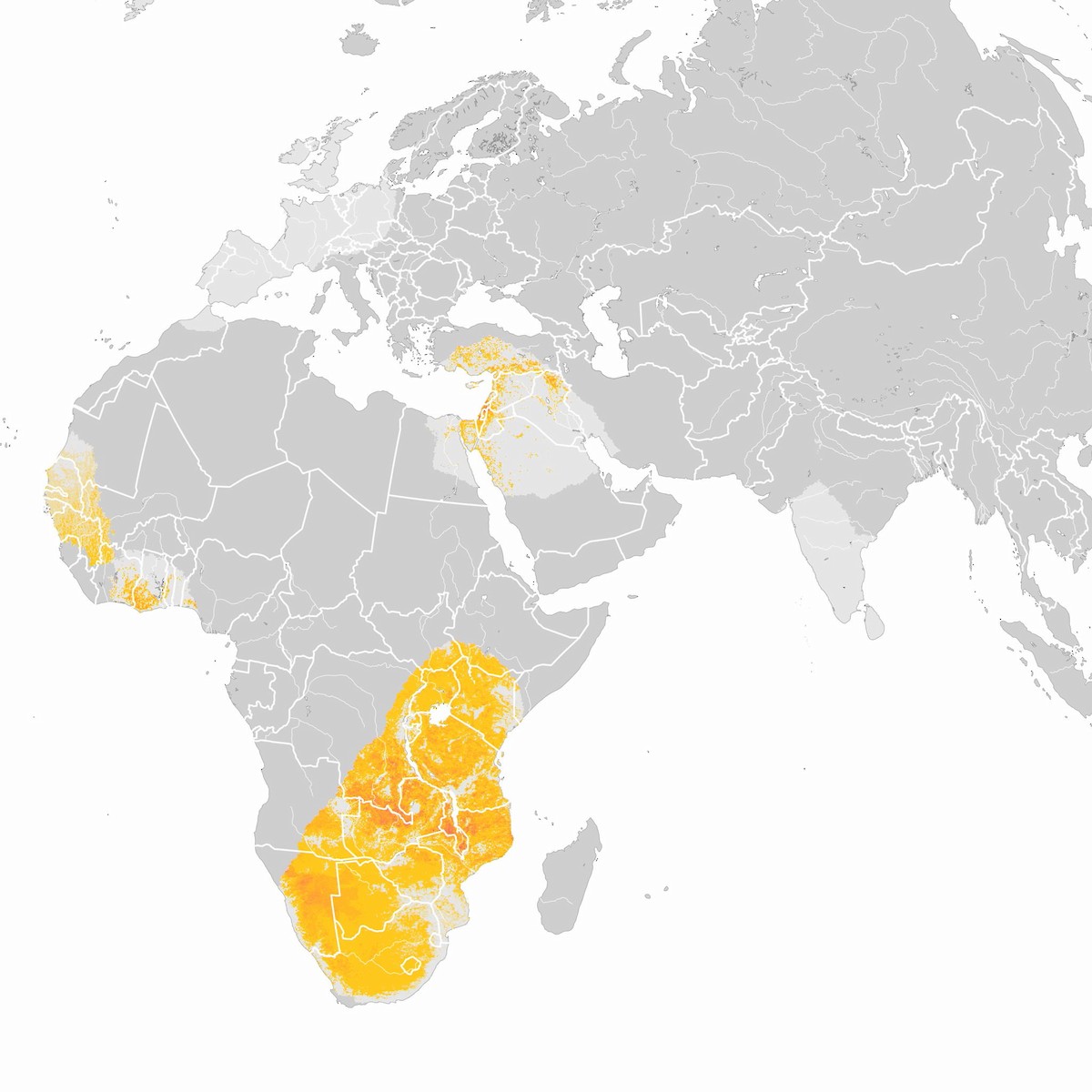 Common Swift - Abundance animation - eBird Status and Trends