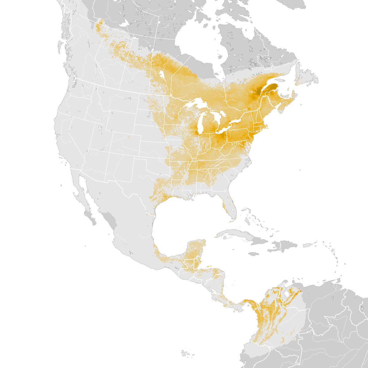 Bay-breasted Warbler - Abundance map: Pre-breeding migration - eBird ...