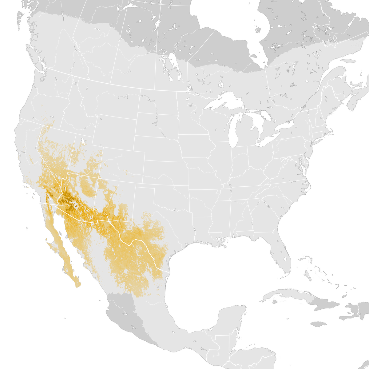 Black-throated Sparrow - Abundance map: Post-breeding migration - eBird ...