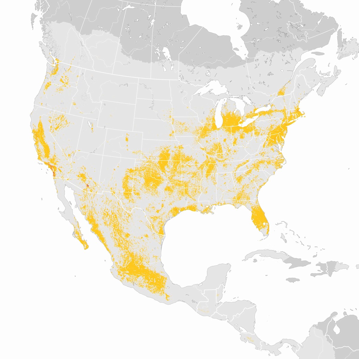 Cooper's Hawk - Abundance animation - eBird Status and Trends