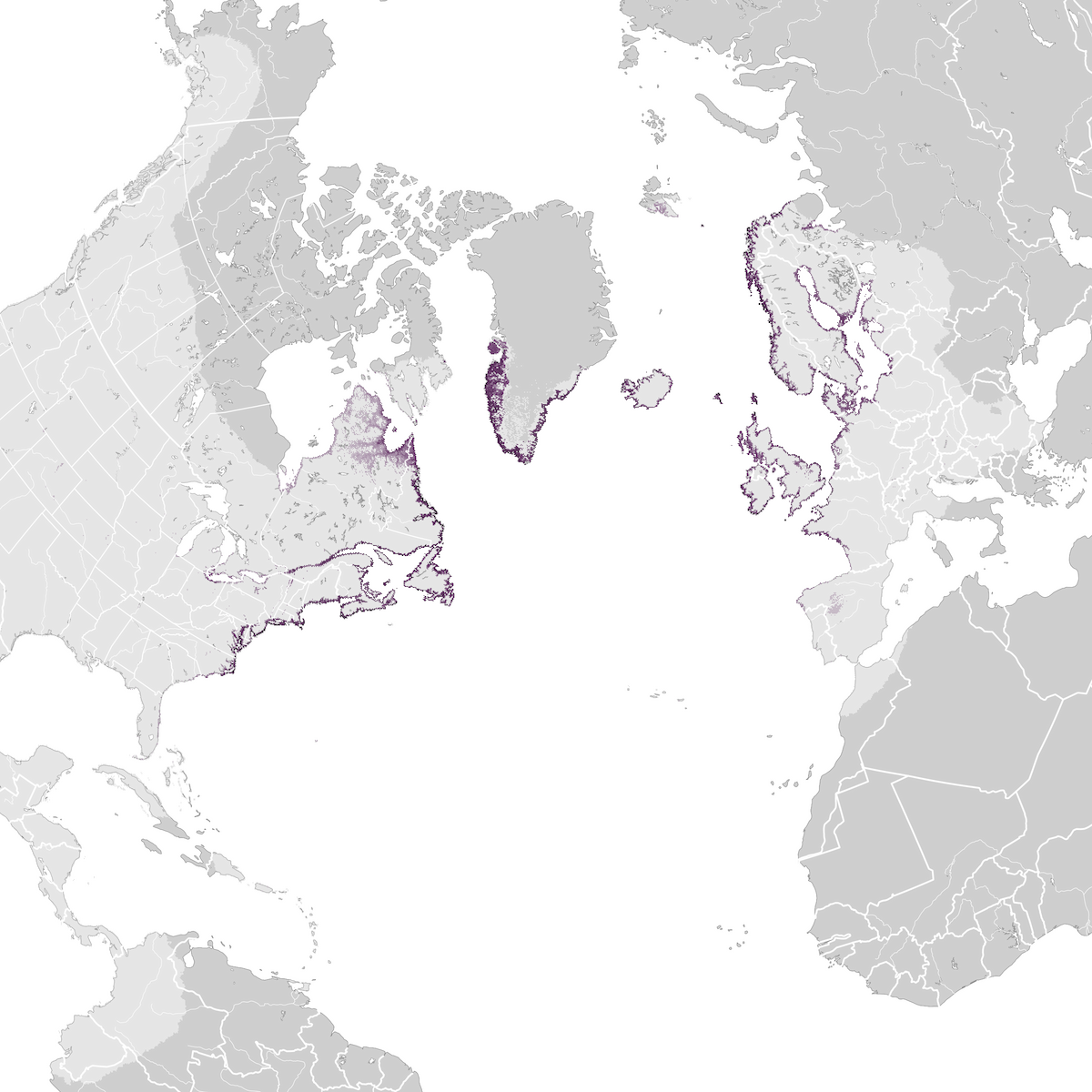 Great Black-backed Gull - Abundance map - eBird Status and Trends
