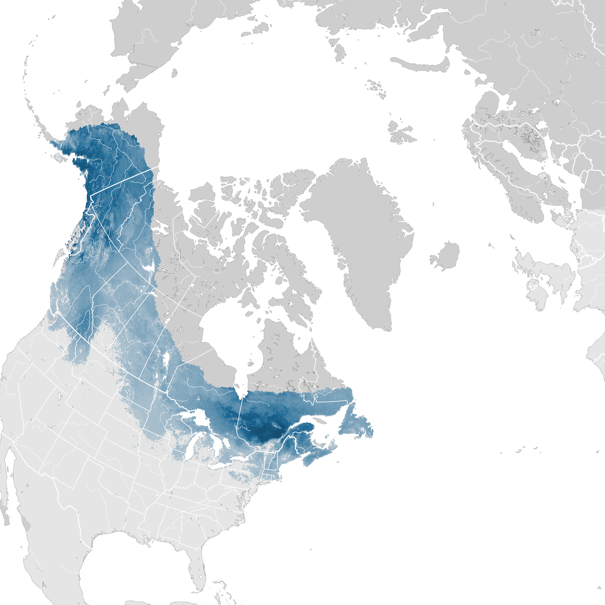 White-winged Crossbill - Abundance map: Non-breeding - eBird Status and ...