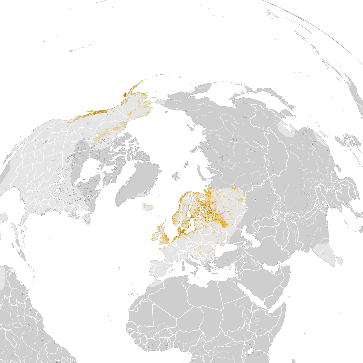 Common/Short-billed Gull - Abundance map: Post-breeding migration ...