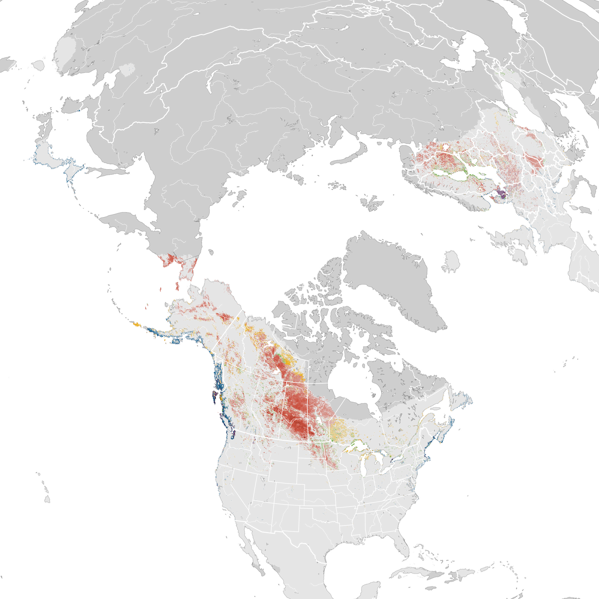 Red-necked Grebe - Abundance map - eBird Status and Trends