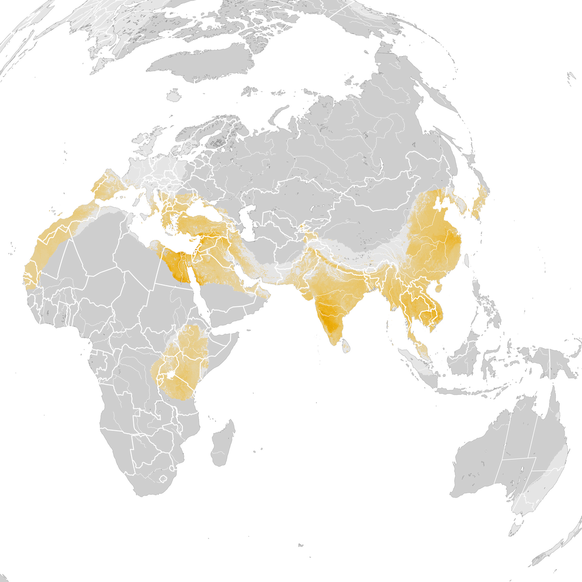 Red-rumped Swallow - Abundance map: Pre-breeding migration - eBird ...