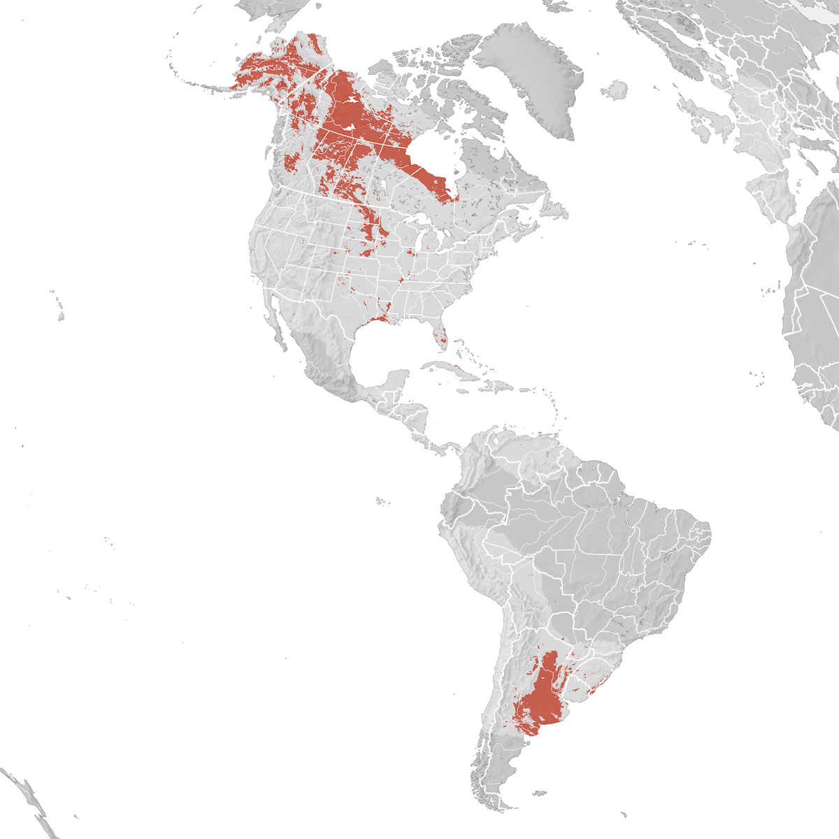 Lesser Yellowlegs - Range map: Breeding - eBird Status and Trends