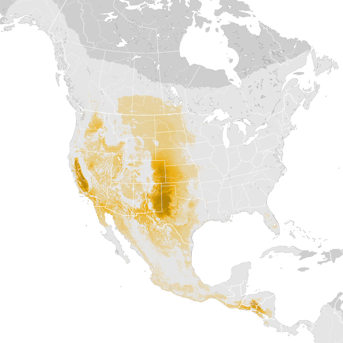 Western Kingbird - Abundance map: Pre-breeding migration - eBird Status ...