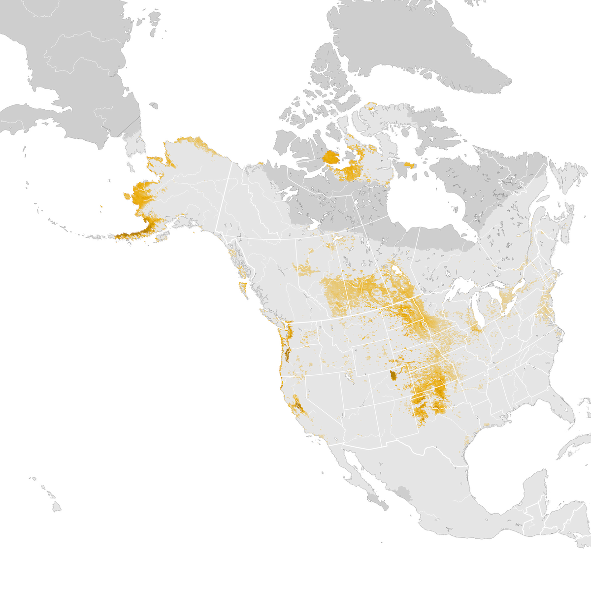 Cackling Goose - Abundance map: Post-breeding migration - eBird Status ...
