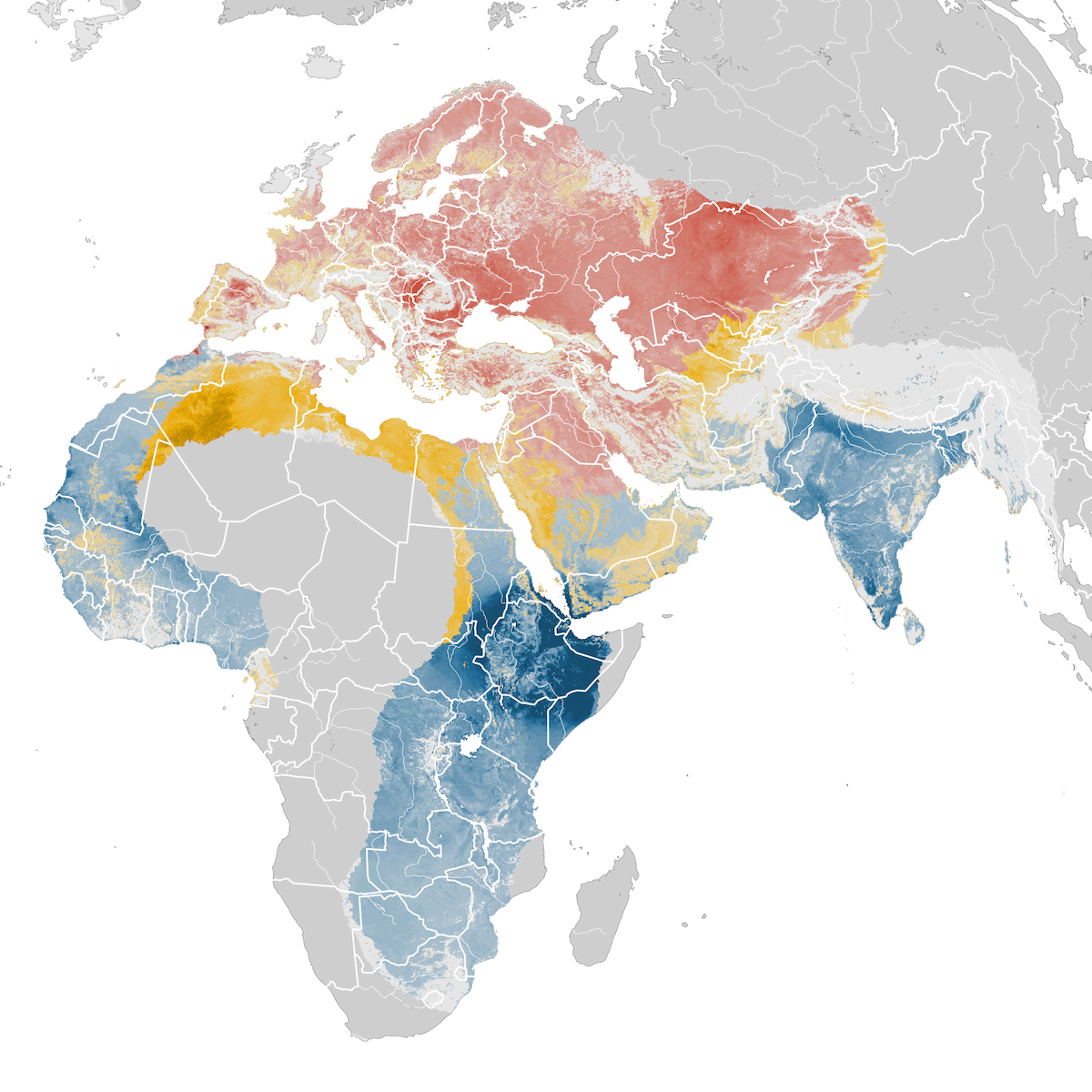 Western Yellow Wagtail - Abundance map - eBird Status and Trends