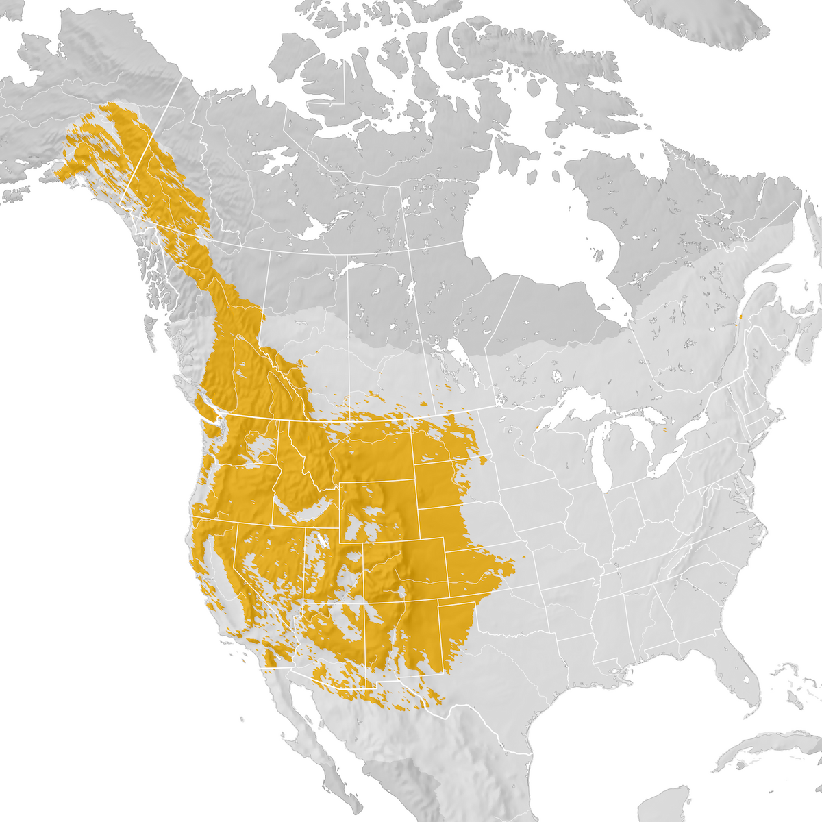 Townsend's Solitaire - Range map: Post-breeding migration - eBird ...