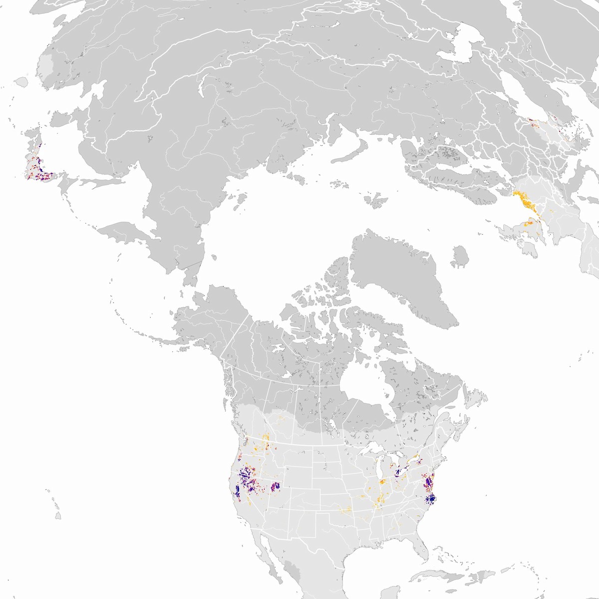 Tundra Swan - Abundance animation - eBird Status and Trends