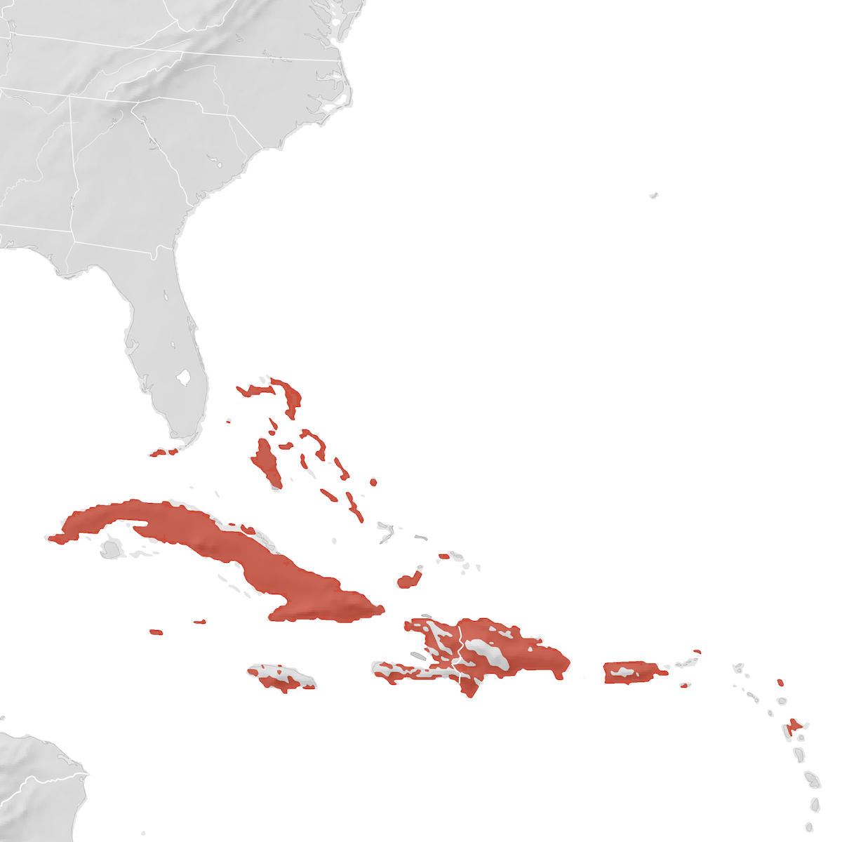 Antillean Nighthawk - Range map: Breeding - eBird Status and Trends