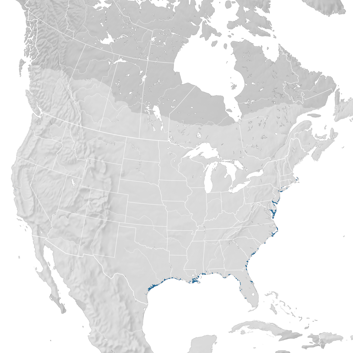 Nelson's Sparrow - Range map: Non-breeding - eBird Status and Trends