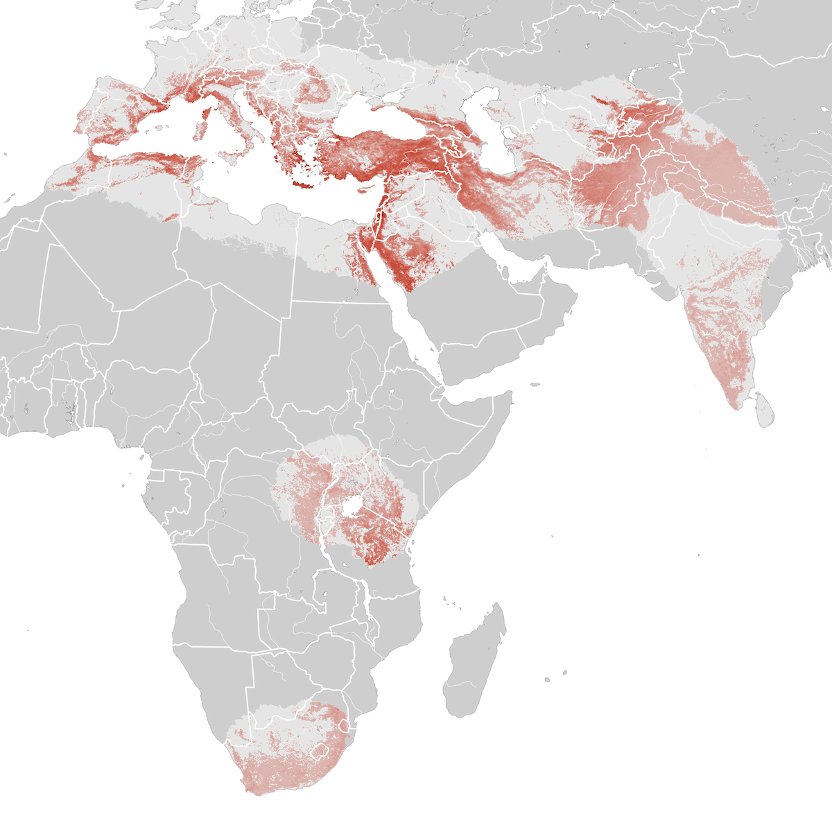 Alpine Swift - Abundance map: Breeding - eBird Status and Trends