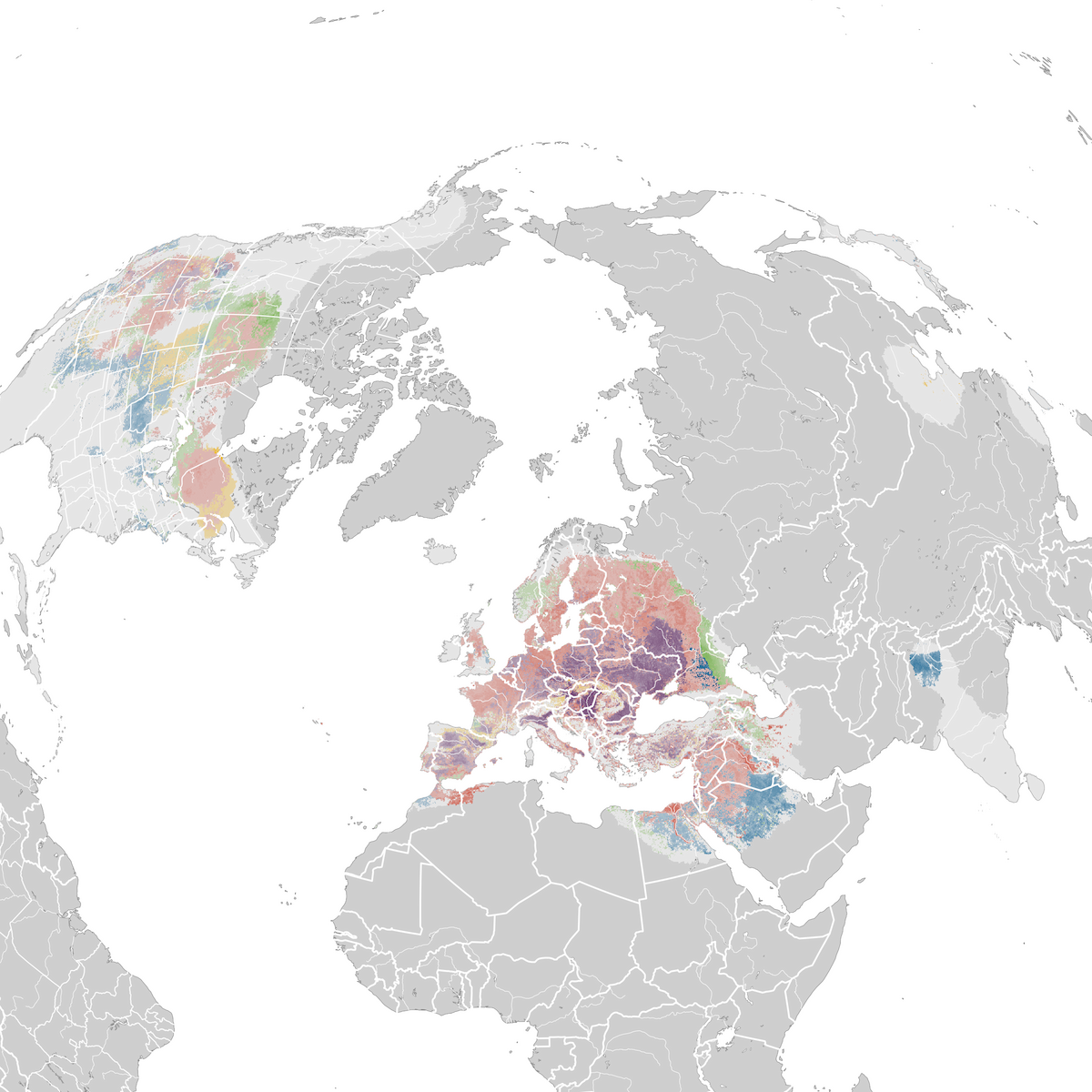Long-eared Owl - Abundance map - eBird Status and Trends