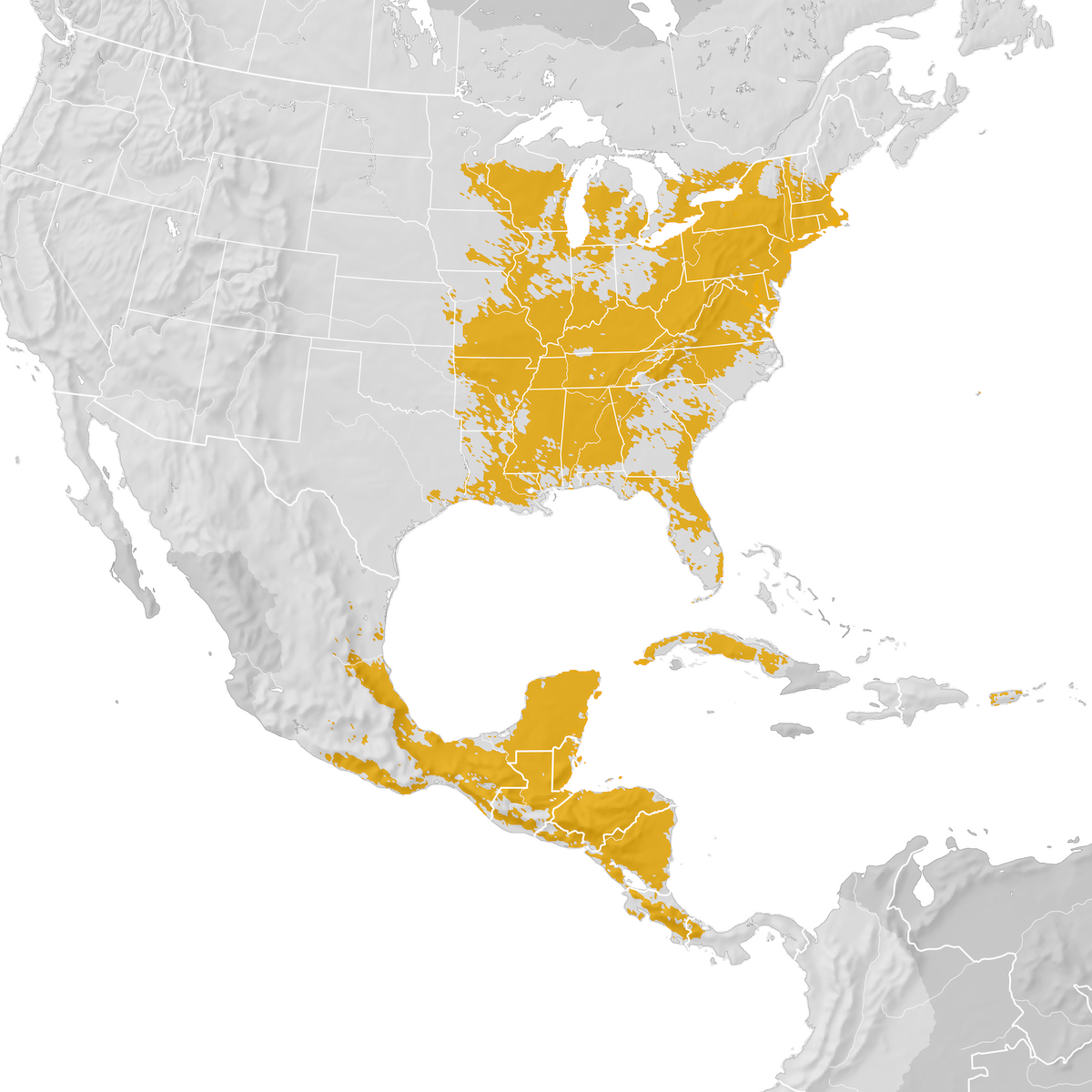 Blue-winged Warbler - Range map: Post-breeding migration - eBird Status ...