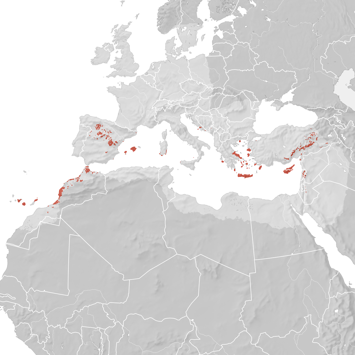 Eleonora's Falcon - Range map: Breeding - eBird Status and Trends