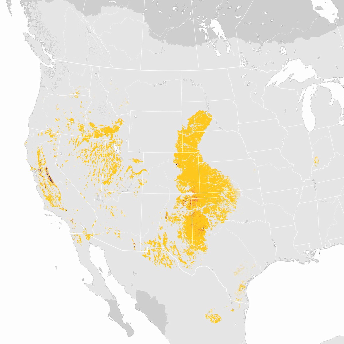 Ferruginous Hawk - Abundance animation - eBird Status and Trends