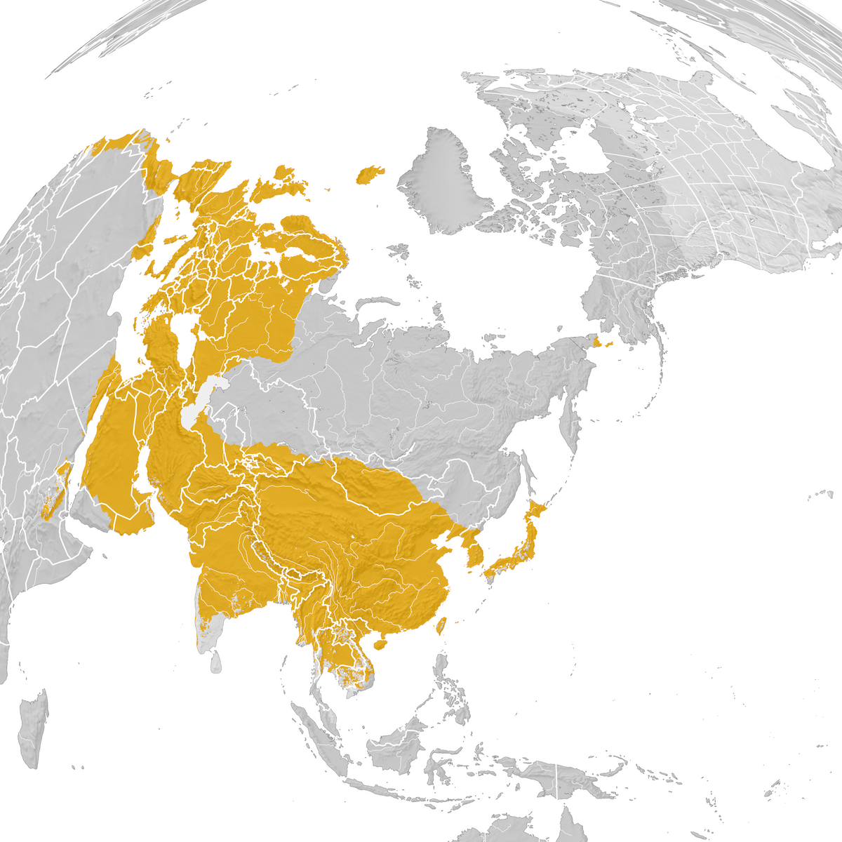 White Wagtail - Range map: Post-breeding migration - eBird Status and ...