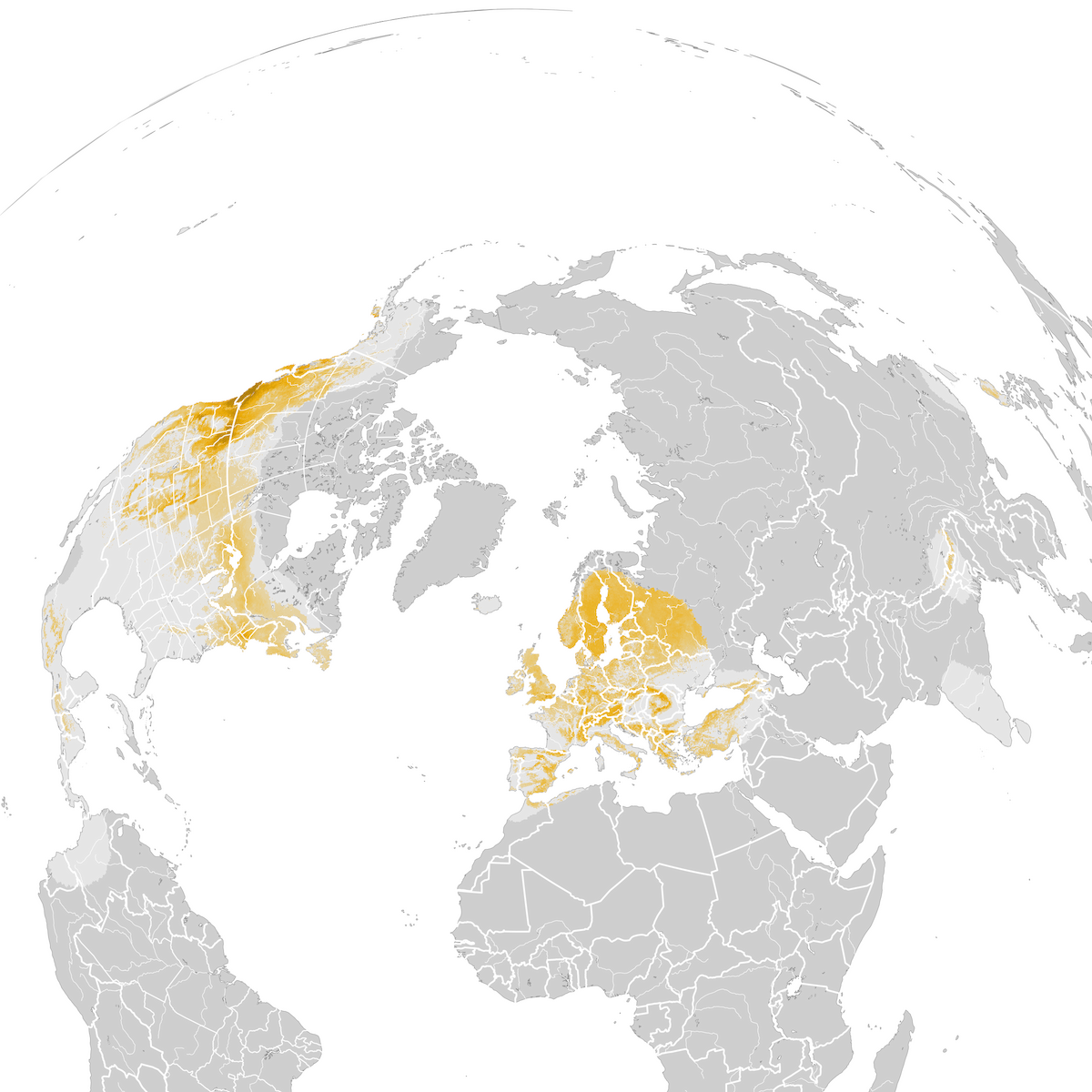 Red Crossbill - Abundance map: Post-breeding migration - eBird Status ...