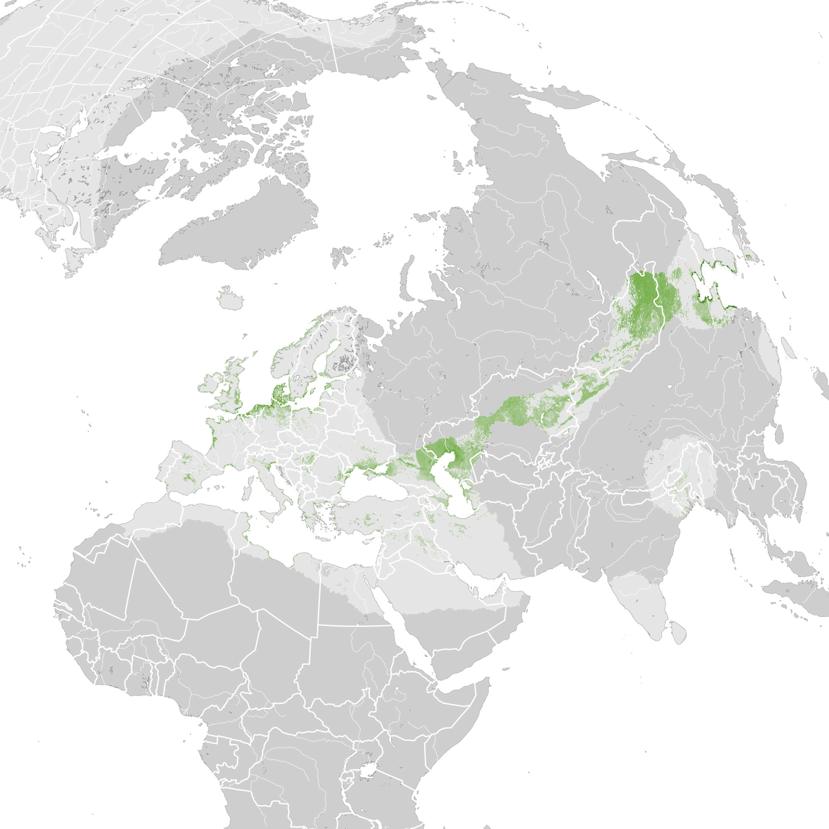 Common Shelduck - Abundance map: Pre-breeding migration - eBird Status ...