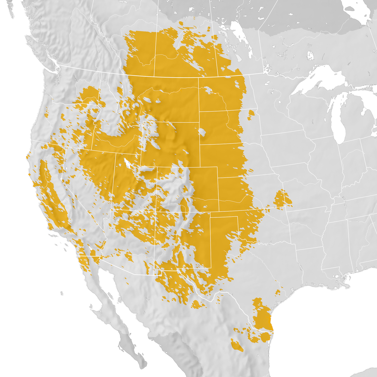 Ferruginous Hawk - Range map: Post-breeding migration - eBird Status ...
