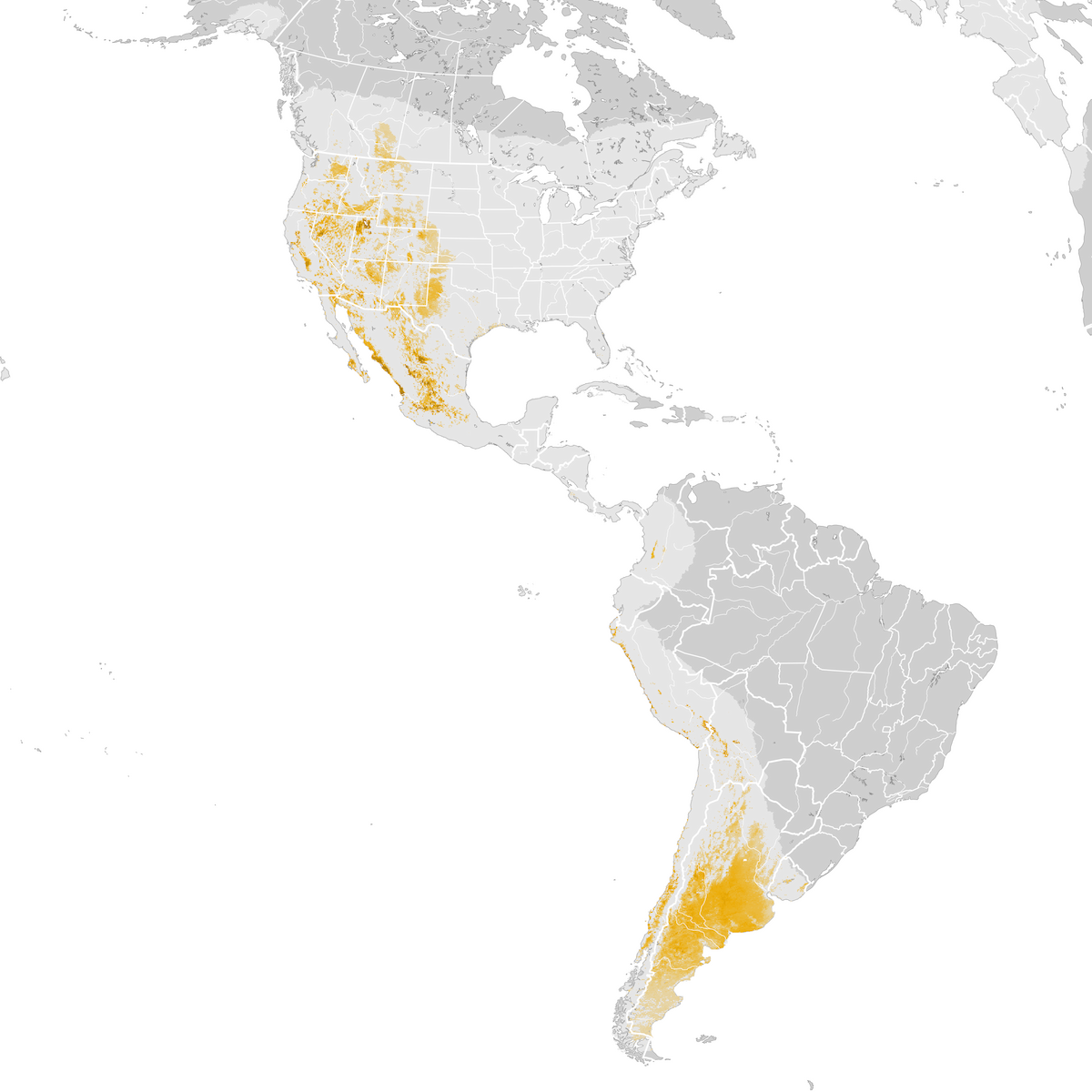 Cinnamon Teal - Abundance map: Post-breeding migration - eBird Status ...