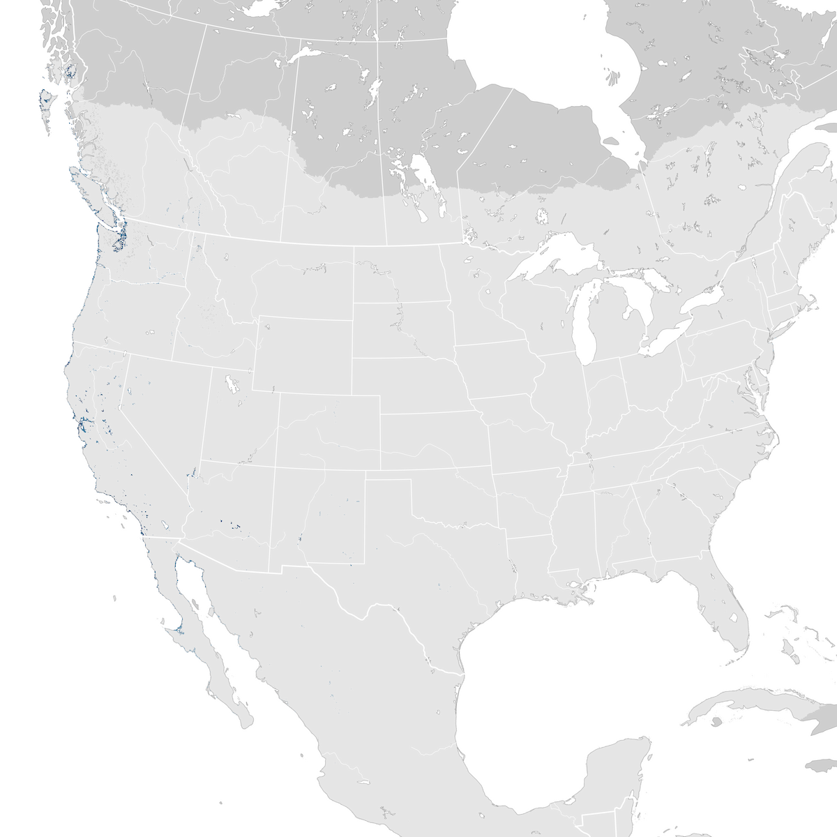 Western Grebe - Abundance map: Non-breeding - eBird Status and Trends