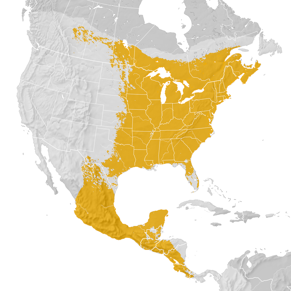 Ruby-throated Hummingbird - Range map: Post-breeding migration - eBird ...