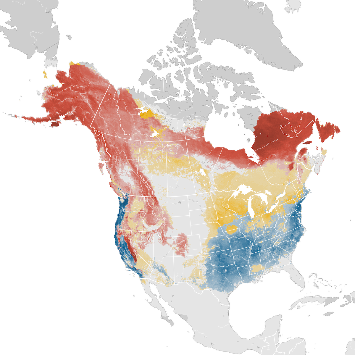 Fox Sparrow - Abundance map - eBird Status and Trends