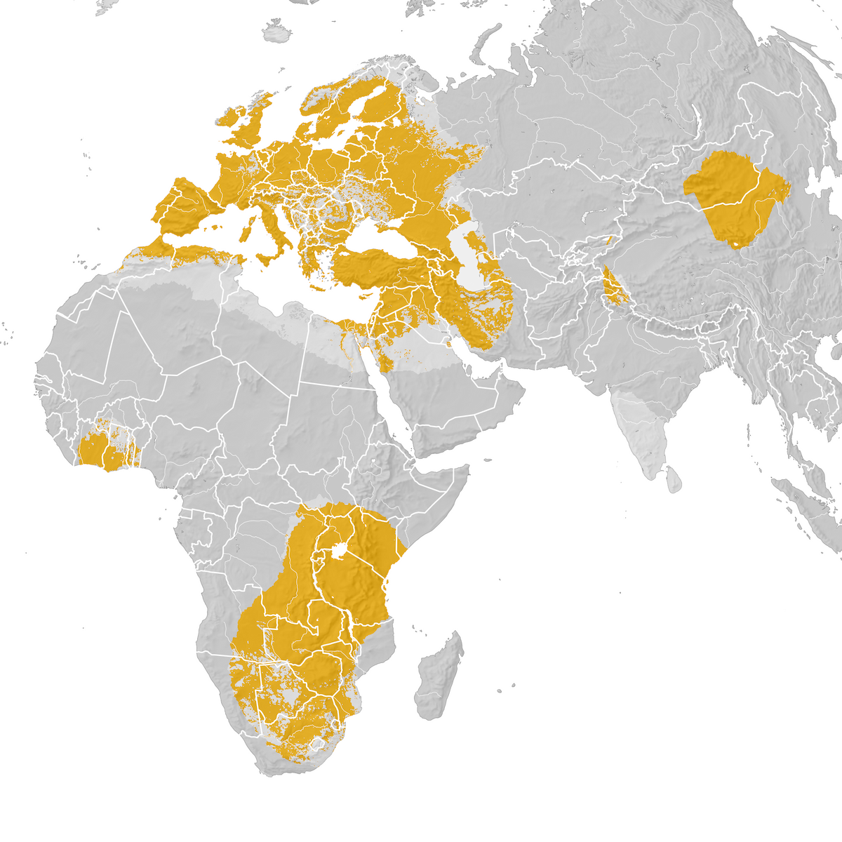 Common Swift - Range map: Post-breeding migration - eBird Status and Trends