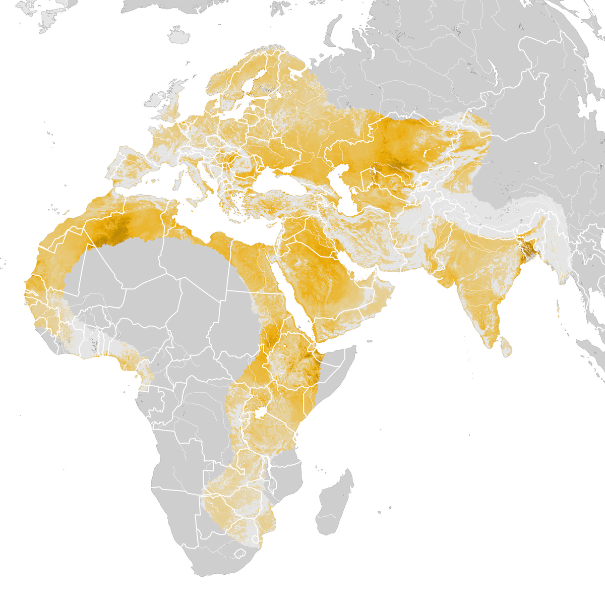 Western Yellow Wagtail - Abundance map: Pre-breeding migration - eBird ...