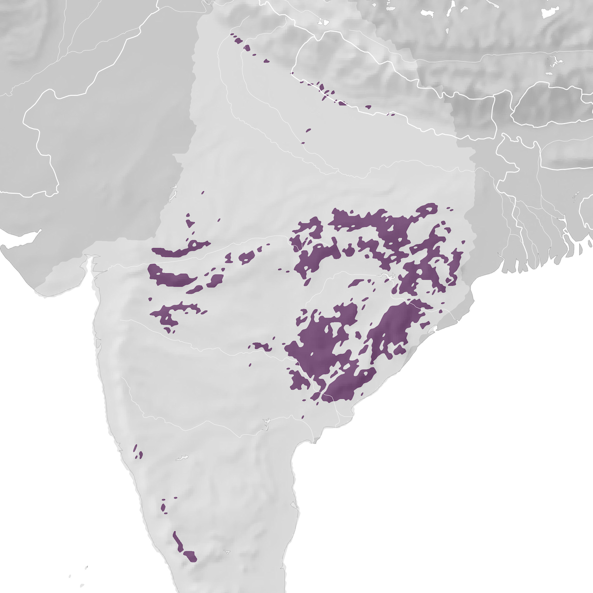 Indian Nuthatch - Range map - eBird Status and Trends